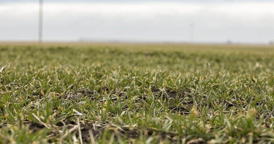 IDOA launches new I-COVER program | Environmental | farmweeknow.com