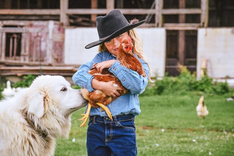 Farms grow with help of new grants | General | farmweeknow.com