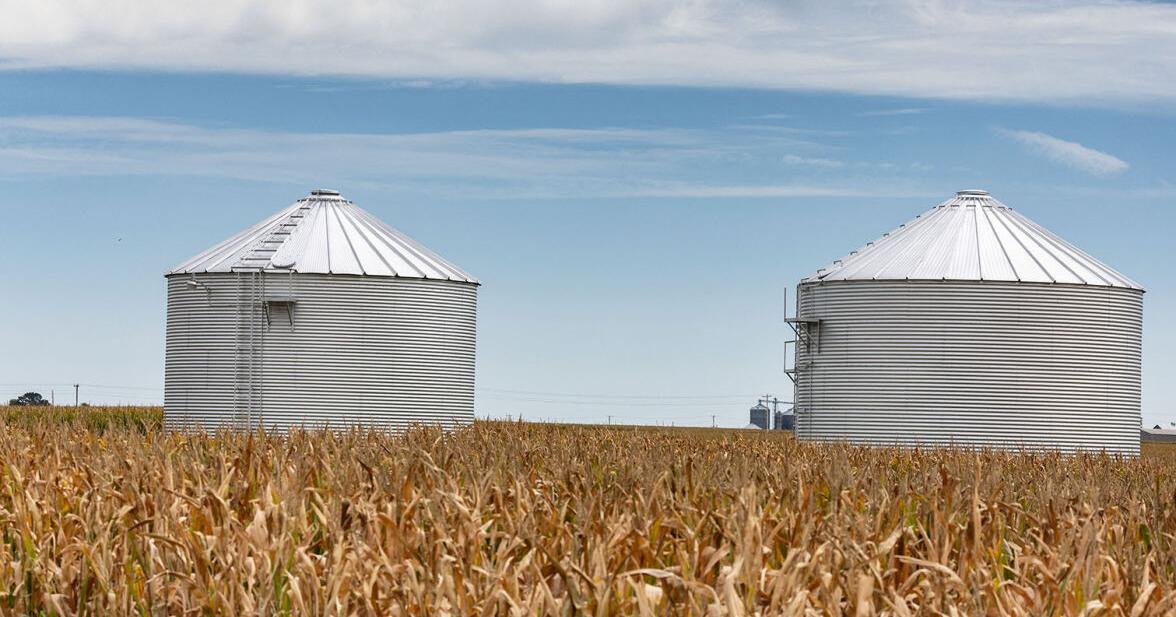 U.S. corn areas in drought ballooned in September | Crop Conditions ...