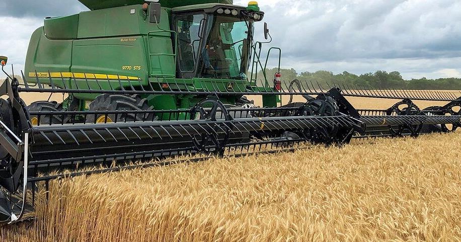 Wheat harvest picks up steam | Crop Conditions | farmweeknow.com
