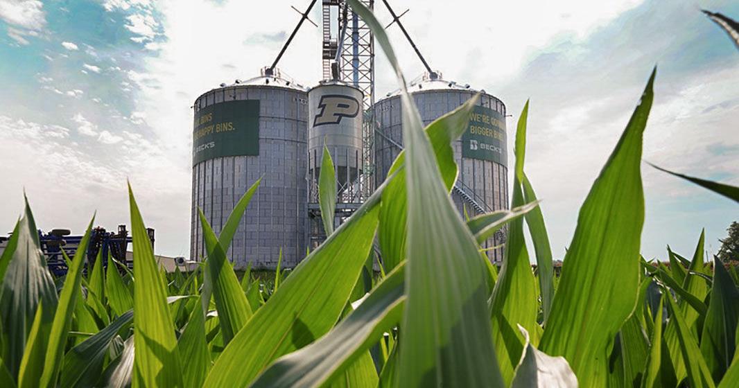 Purdue professor: Grain housekeeping ‘very important’ | General ...