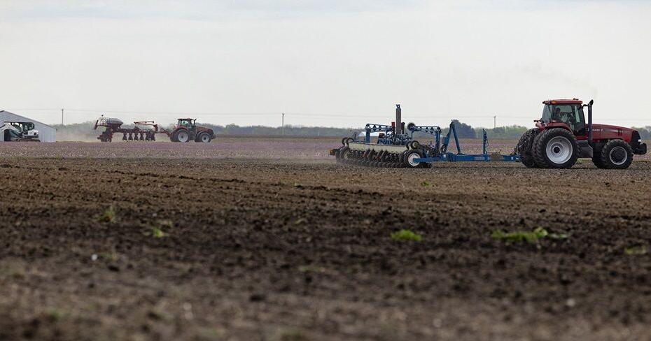 Agronomist highlights potential concerns as planting picks up | Crop ...