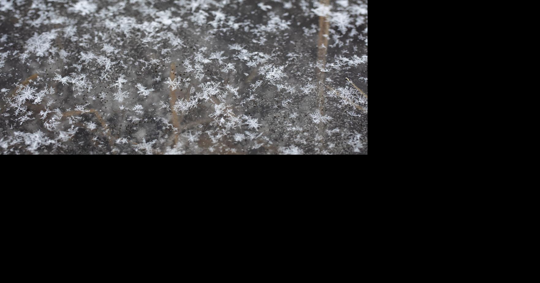 Know the difference between snow, sleet and freezing rain? | Perspectives | farmweeknow.com