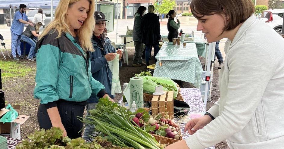 Taste of Illinois goes on location at Annual Meeting | General ...