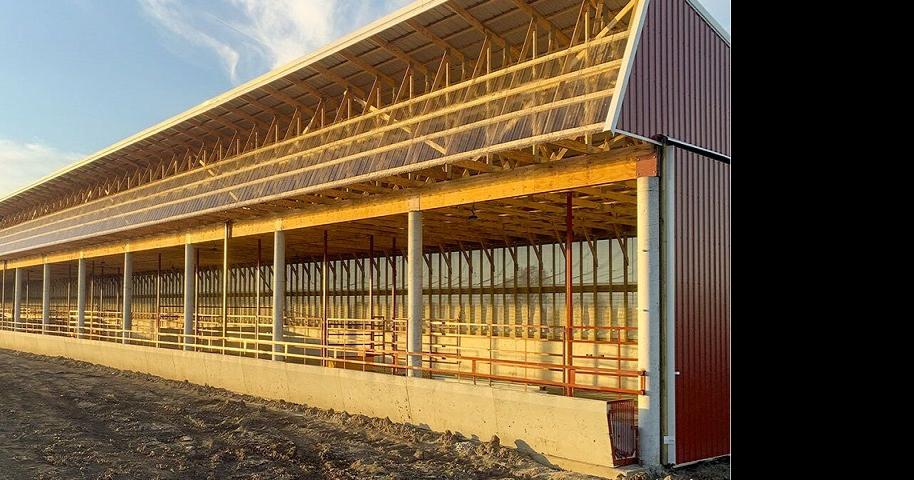 New cattle barns bring Maiers family full circle | Livestock ...