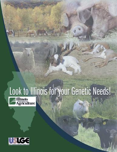 IDOA speaking partners’ languages to market Illinois livestock ...