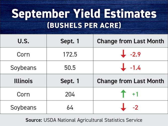 USDA trims yield estimates for corn, soybeans | General | farmweeknow.com