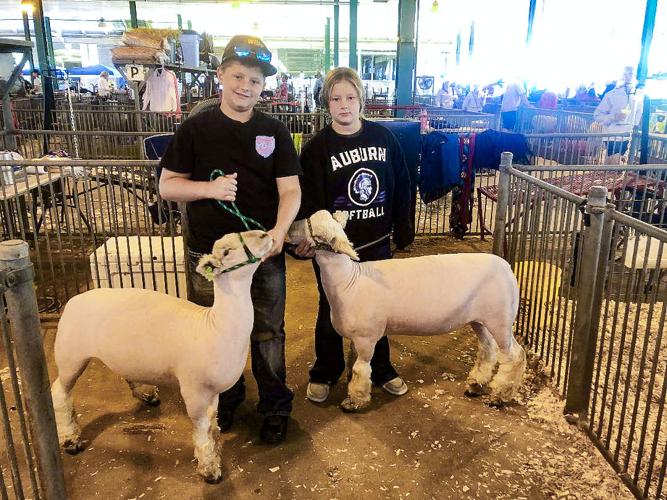 A walk through the livestock barns | General | farmweeknow.com
