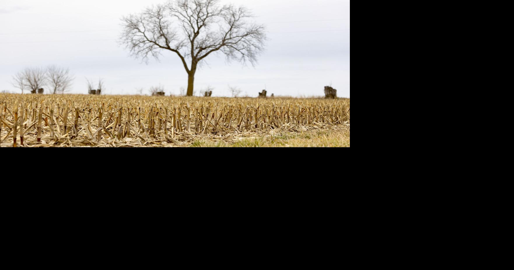 Widespread rain eases drought conditions | Crop Conditions ...