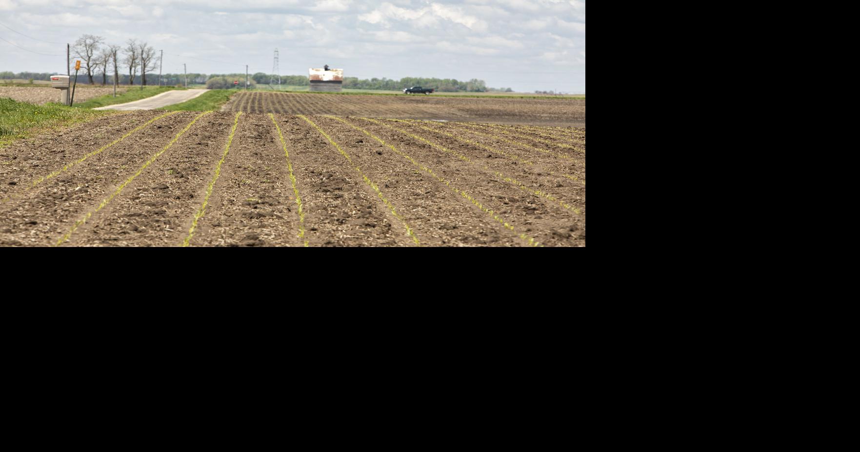 Illinois NREC selects nine new projects for 2026 | Environmental ...