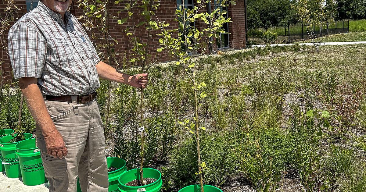 New edible windbreak to provide multiple benefits | Environmental ...