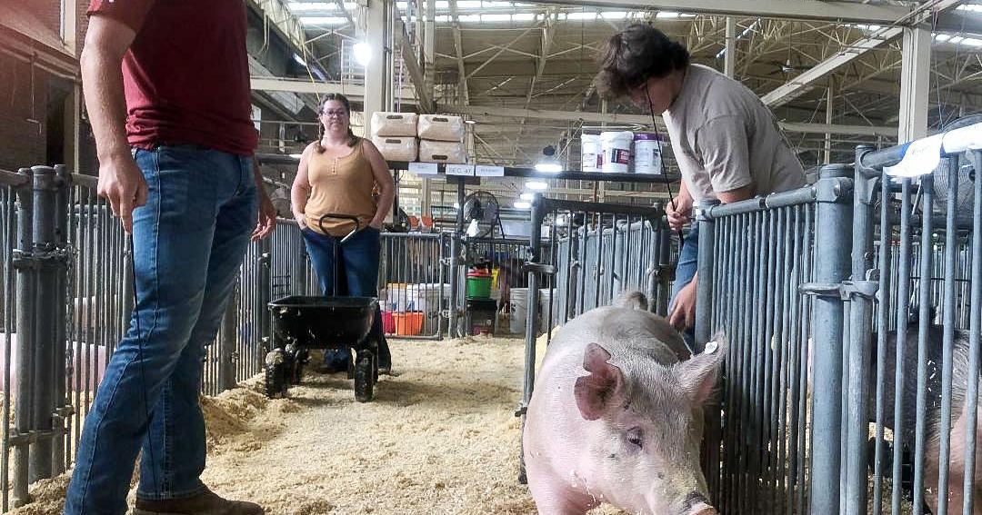 A walk through the livestock barns | General | farmweeknow.com