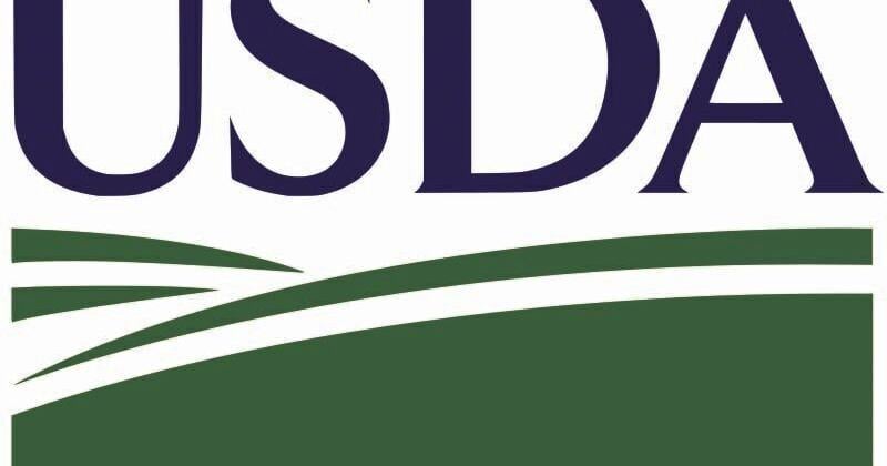 Senators push for USDA layoff details | National | farmweeknow.com