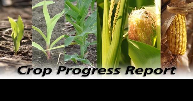 USDA weekly crop progress report | Crop Conditions | farmweeknow.com