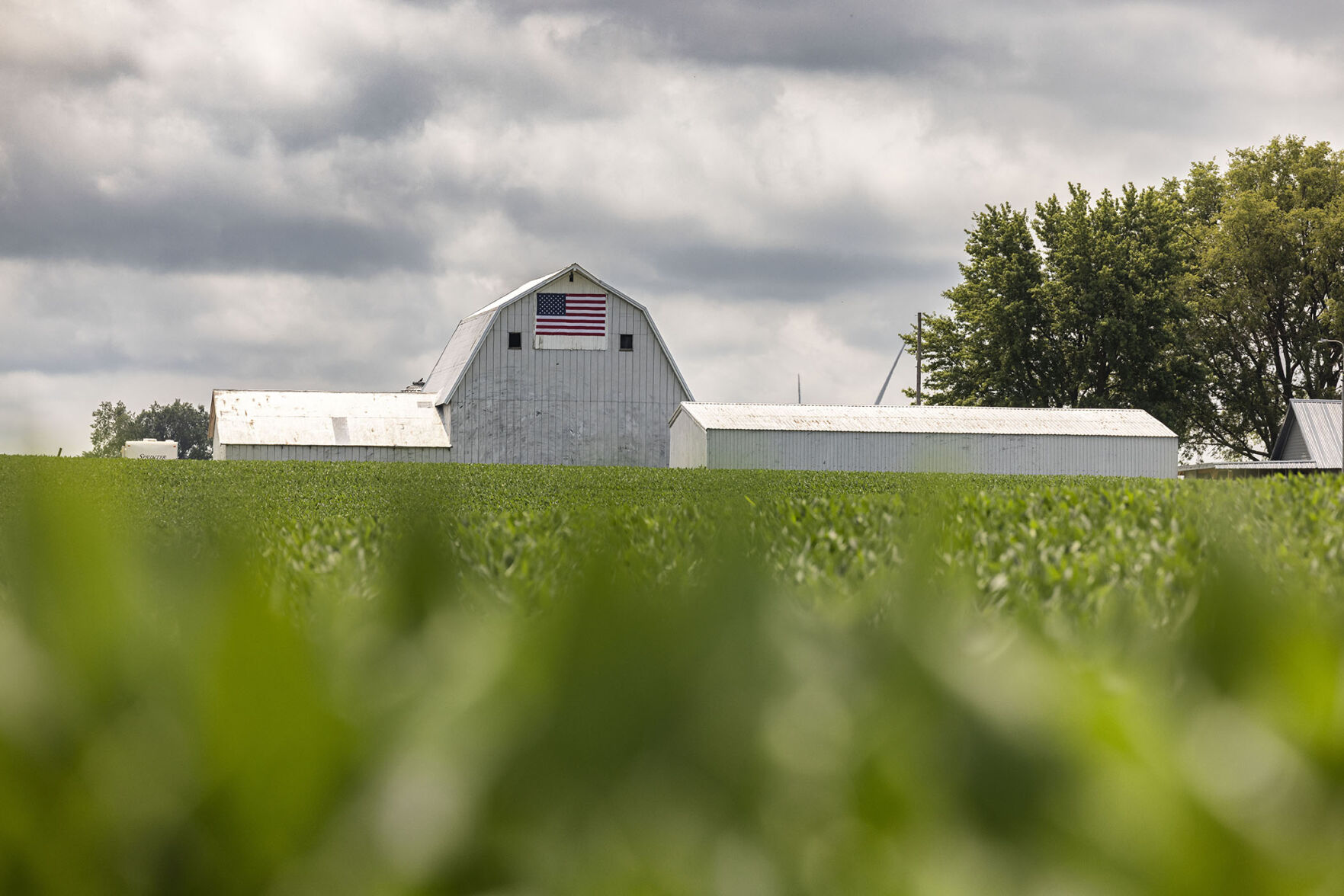 Small, family farms remain the root of American ag | Perspectives ...