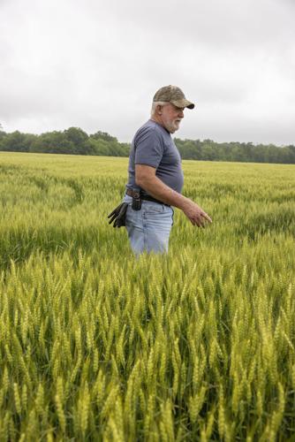 Farm Bureau built confidence in Director Howard | General | farmweeknow.com