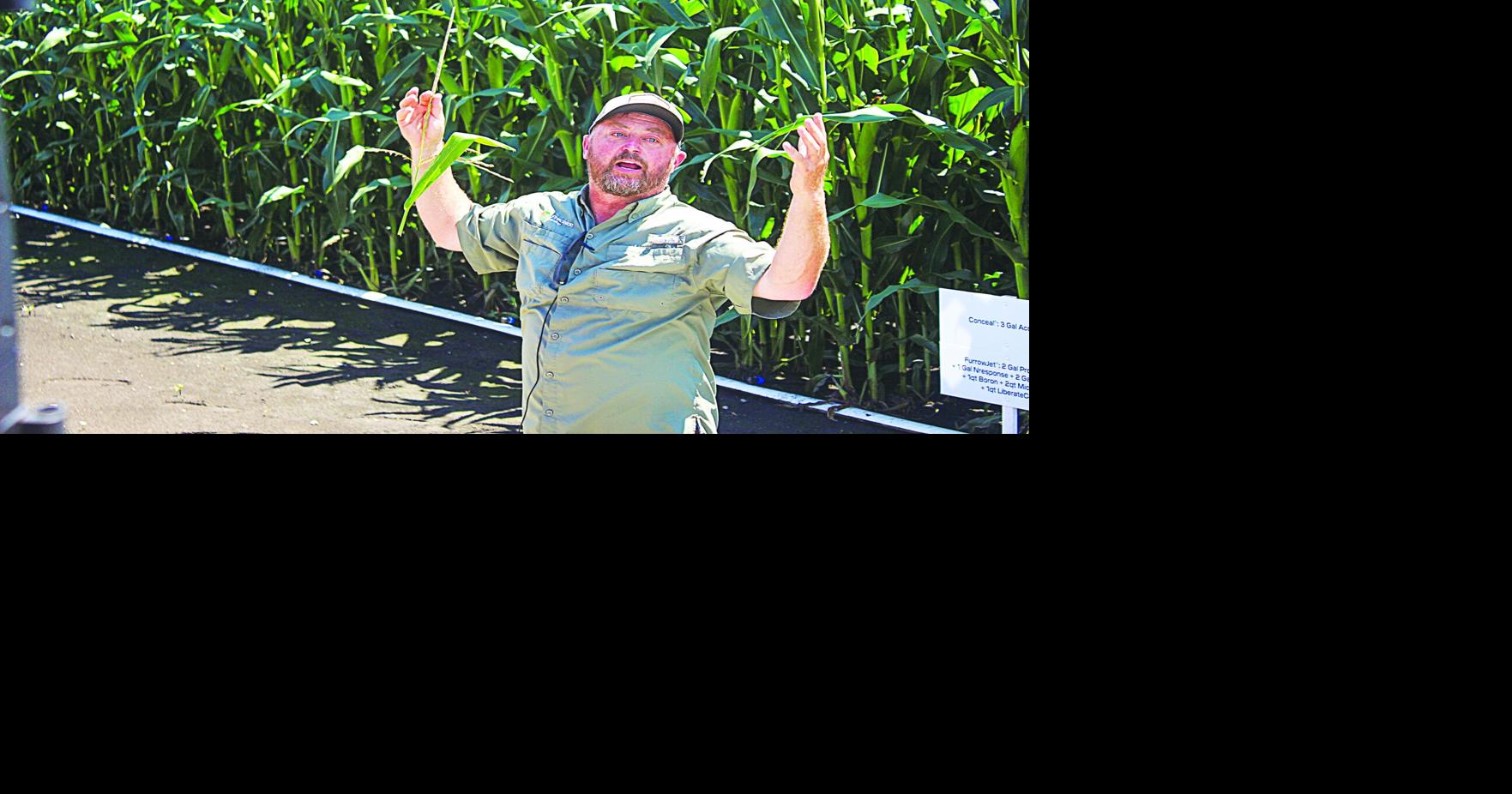 Agronomist draws attention to corn pollination problem on field tour ...