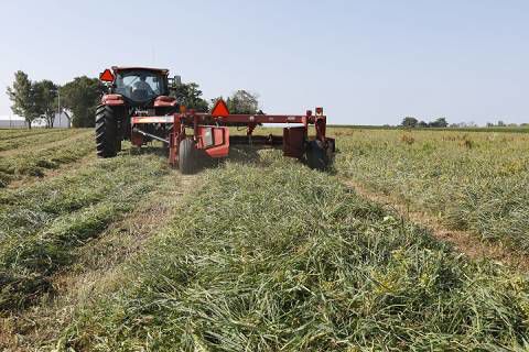 Baleage: An option in better haymaking | General | farmweeknow.com