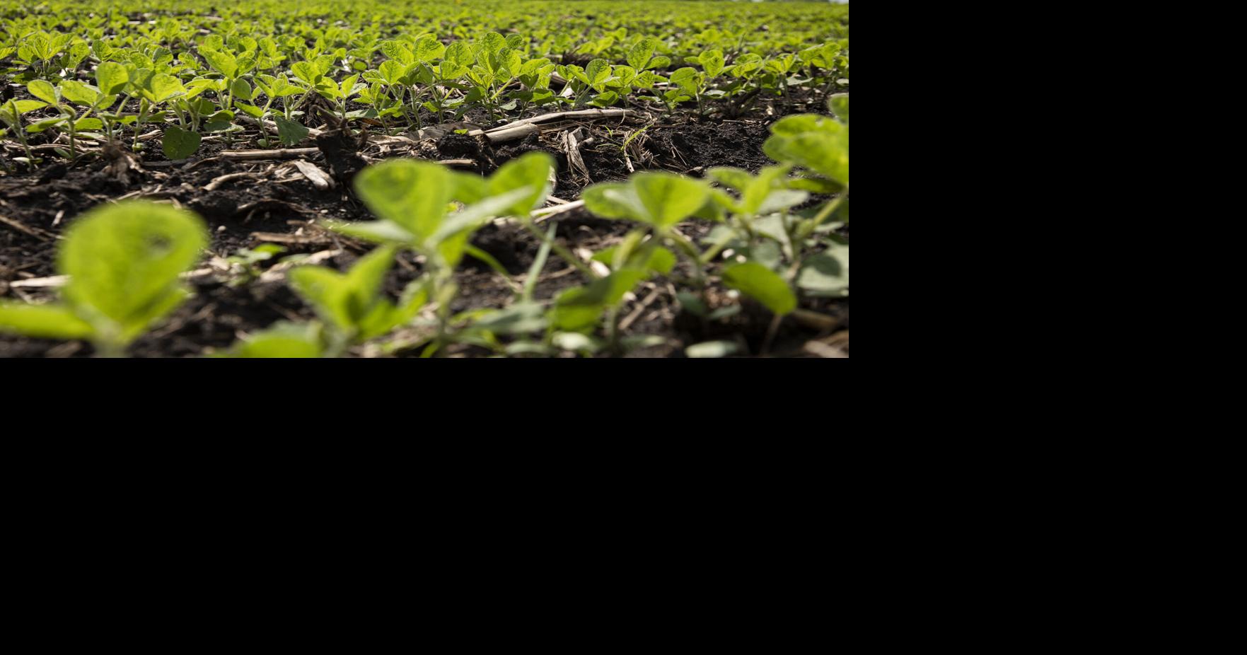Farm emergency planning series set for February | General | farmweeknow.com