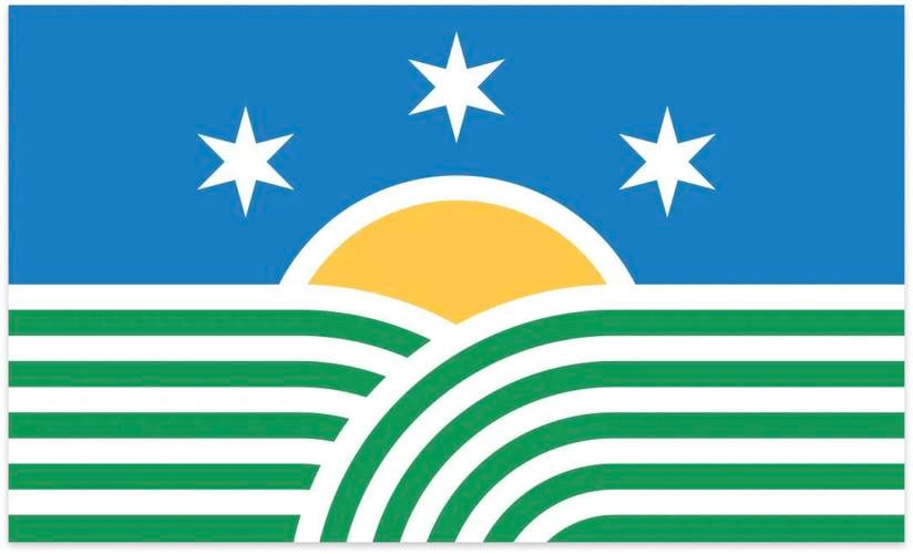 Public voting for new Illinois state flag open now | State ...