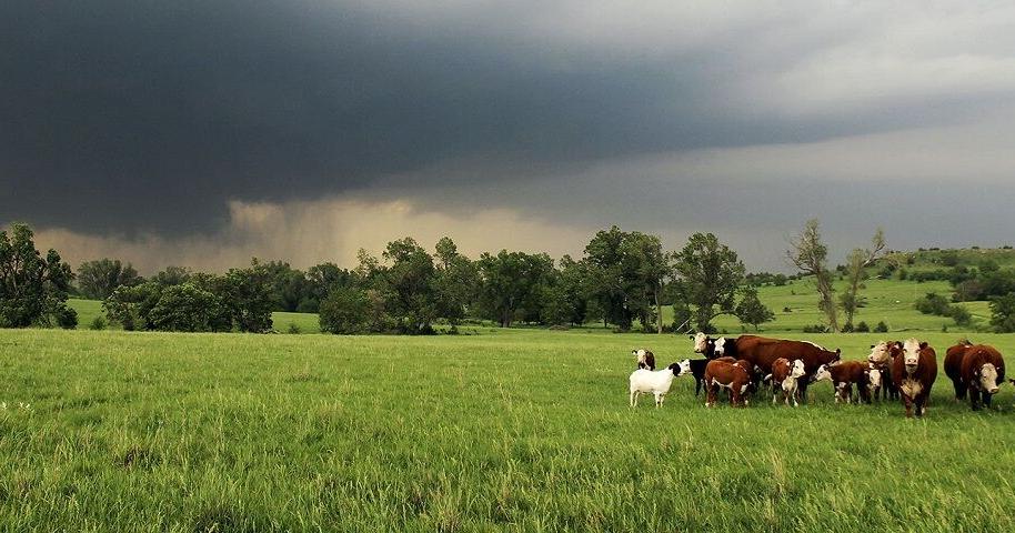 Storm chaser documents violent weather frame by frame | General ...