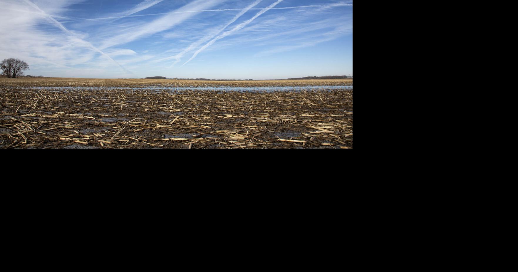 Relief on the way for drought areas | General | farmweeknow.com