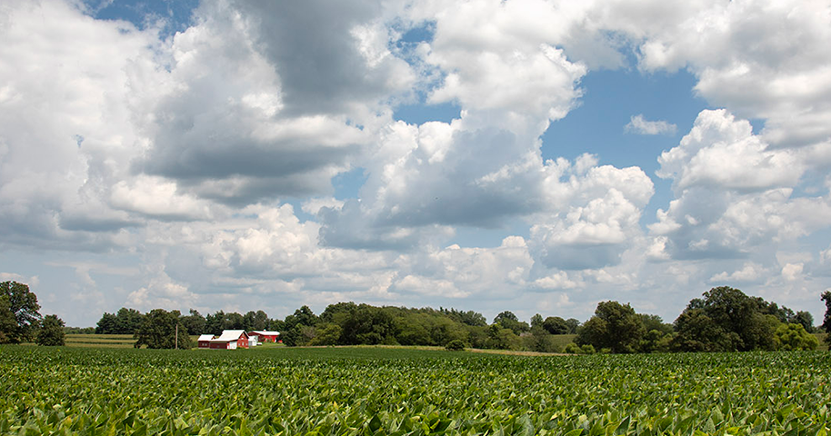 Midwest farmland values heat up | Profitability | farmweeknow.com