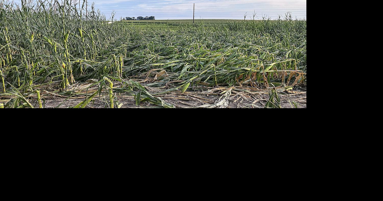 Pritzker issues disaster proclamation for storm-ravaged counties ...