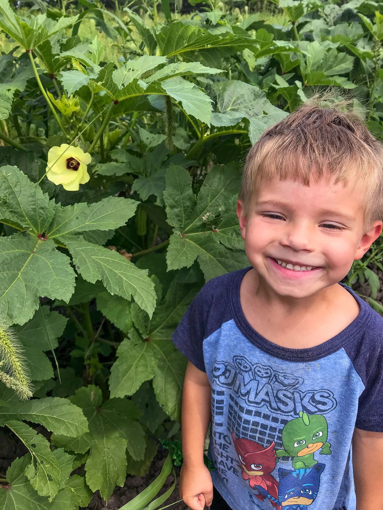 Specialty crop diversity, demand keep Rock Island County farm family ...