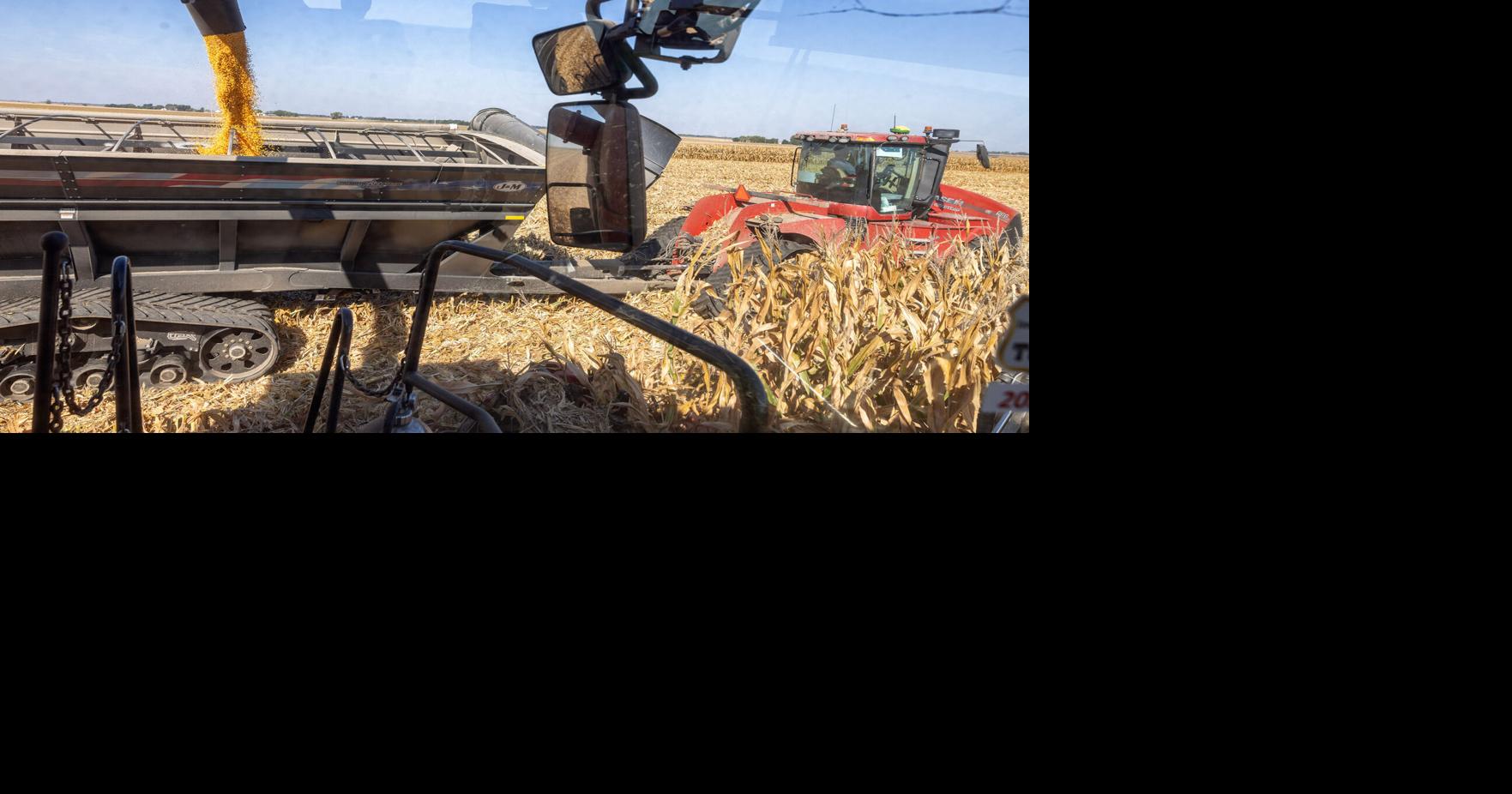 Biofuels belong in Illinois' clean energy future | Perspectives ...