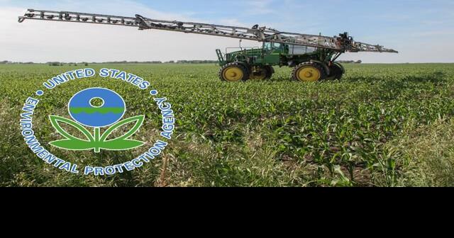 A breakdown of changes to the 2020 dicamba labels | Environmental ...