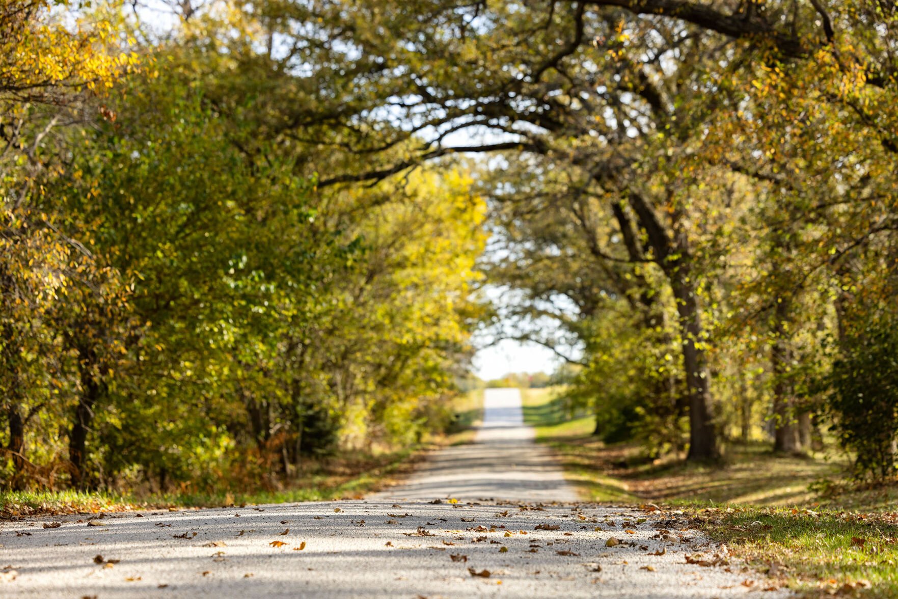 Cold snap brings taste of winter in November | Crop Conditions ...