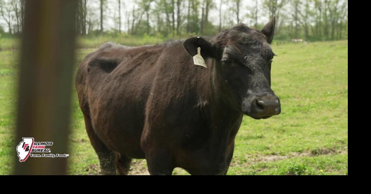 Time to celebrate Beef Month | | farmweeknow.com