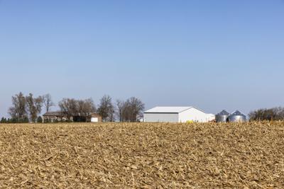 Strength of farm balance sheets to be tested | Profitability ...