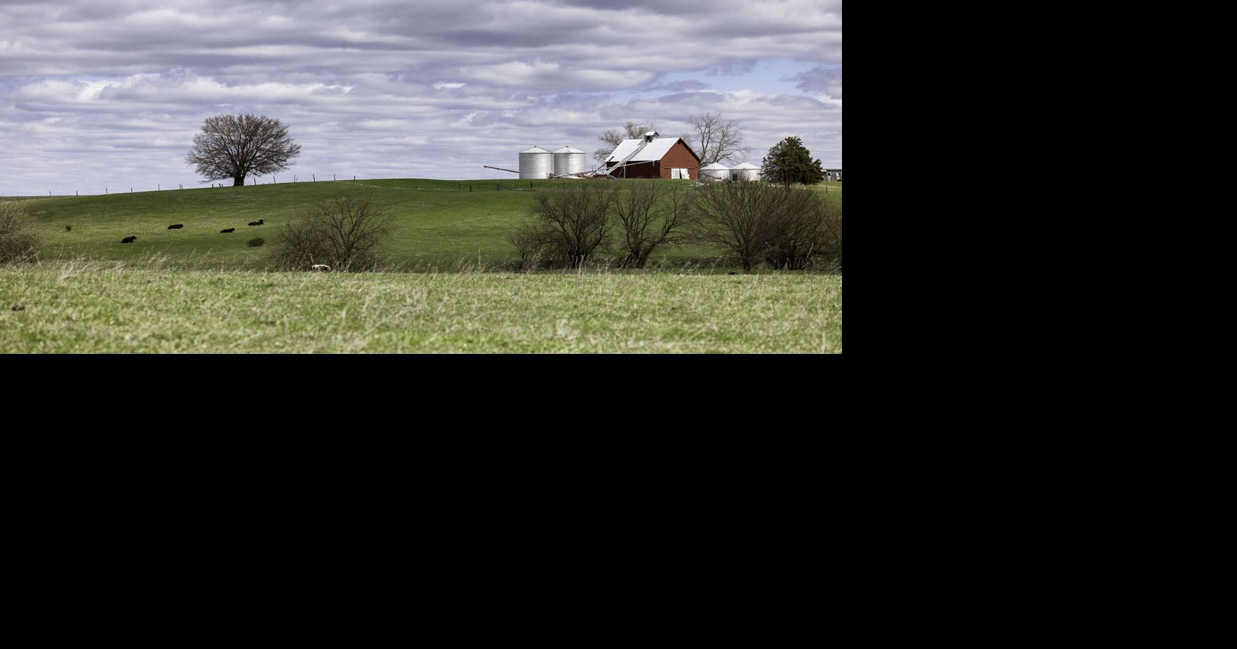 Rain helping some pastures, hurting others | Crop Conditions ...