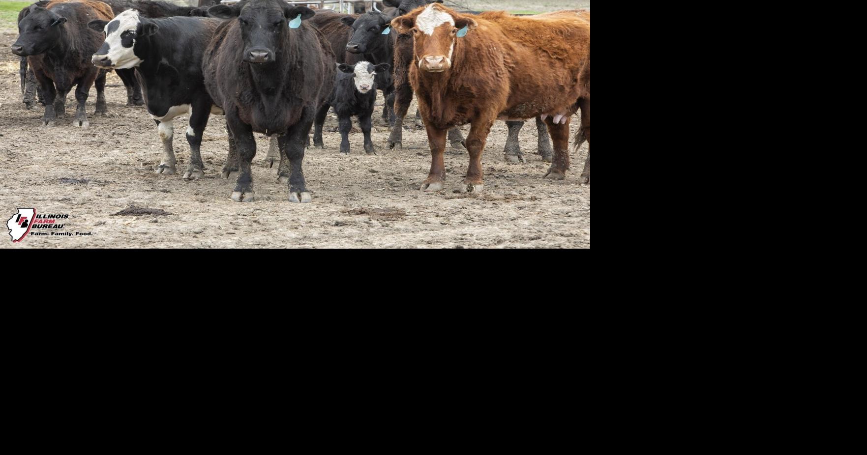 JBS reaches settlement; leverage could shift in cattle market ...