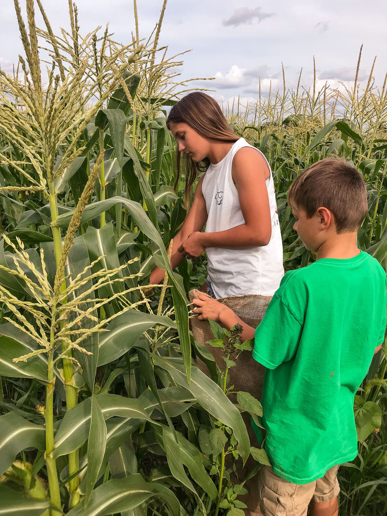 Specialty crop diversity, demand keep Rock Island County farm family ...
