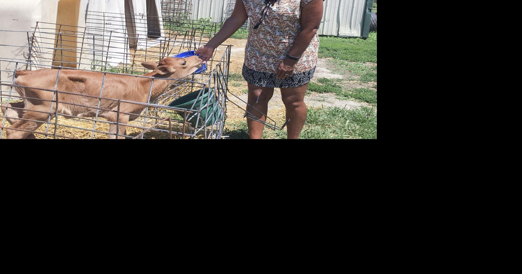 Stratton cultivates diverse farms | State | farmweeknow.com