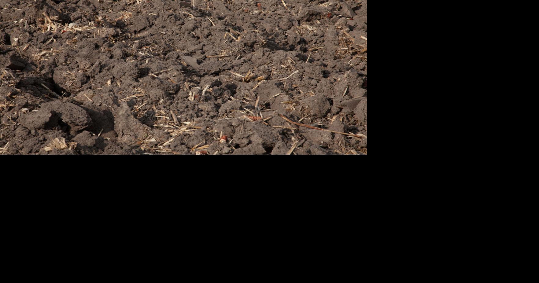 WARM website highlights soil changes | Environmental | farmweeknow.com