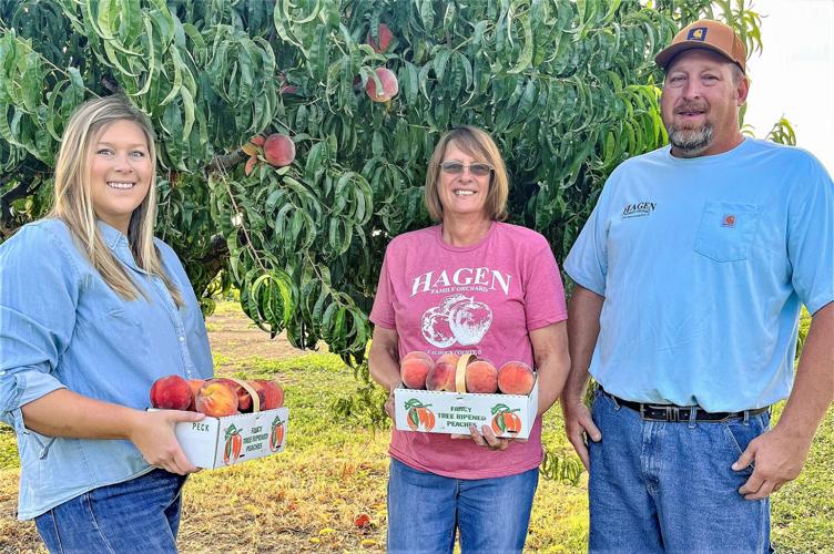 Hagen Family Orchard 'blessed' to have peaches amid shortage ...