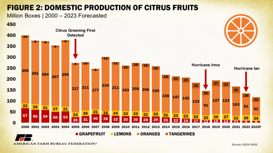 U.S. citrus production: An uphill battle to survive | News ...