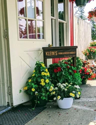 Gardeners spur plant sales for Kane County specialty farm | State ...