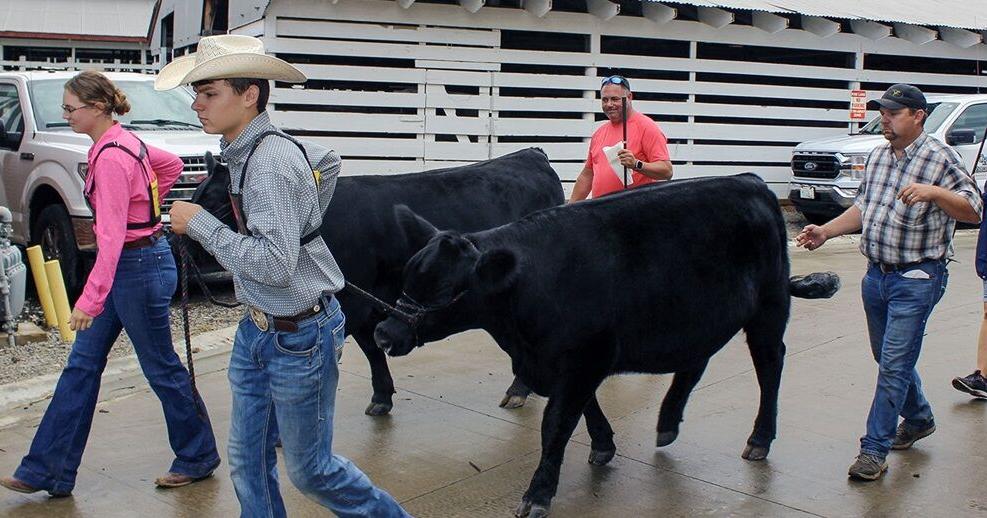 IDOA announces new health requirements for exhibition livestock ...