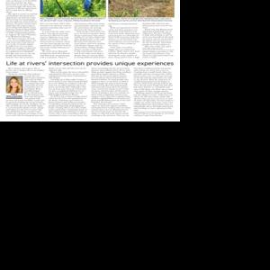 Page A16 | FarmWeek | farmweeknow.com