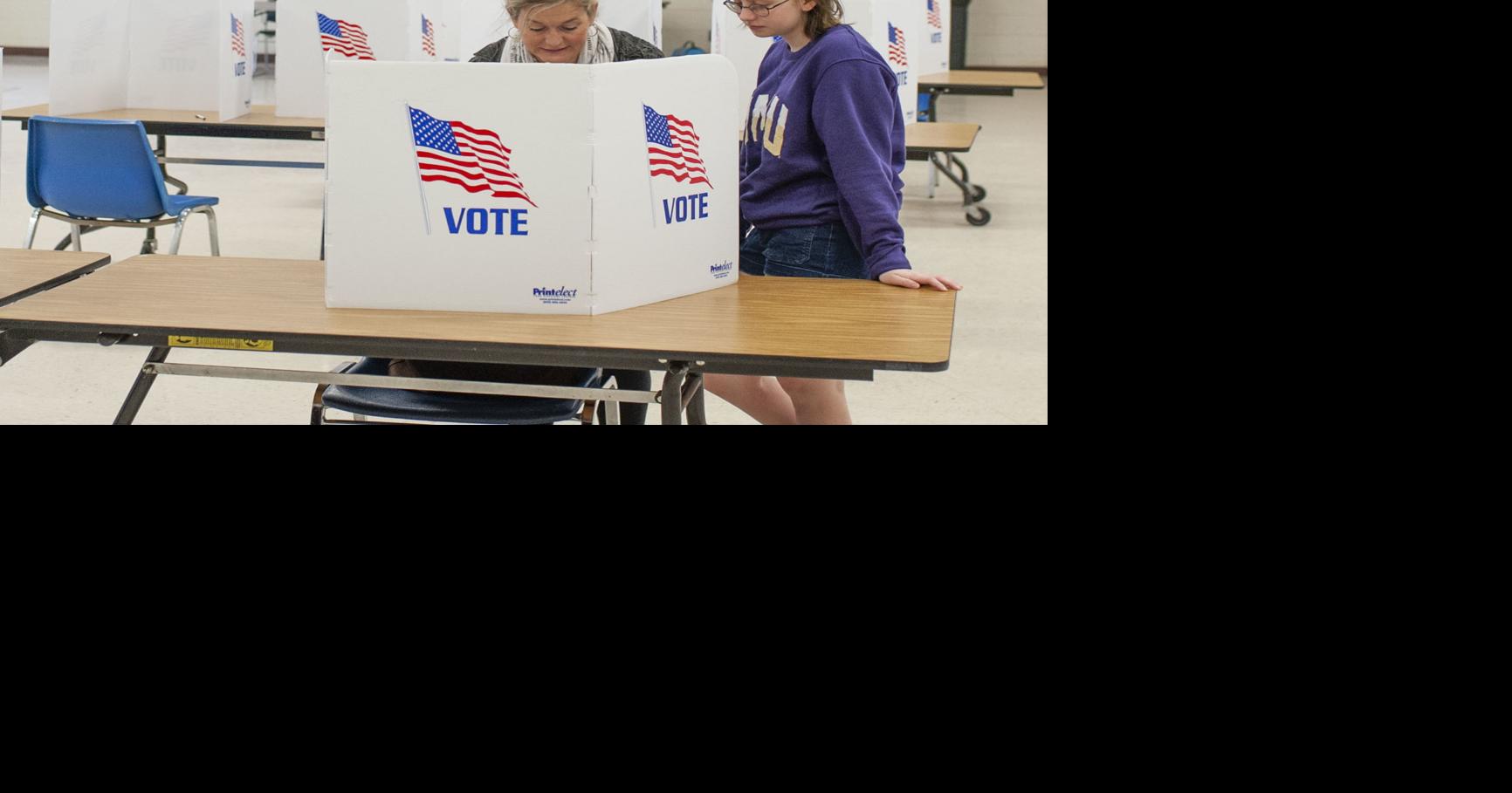 Statewide Democratic Party primary election takes place Tuesday | News ...