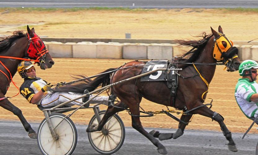 Shenandoah Downs plans pari-mutuel harness racing events | Gold Cup ...