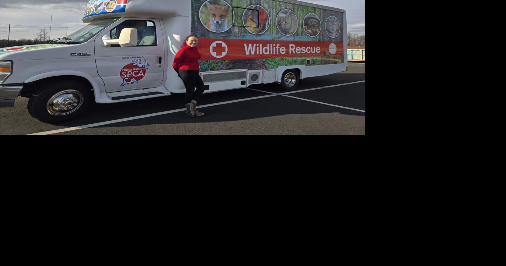 Gainesville wildlife rehabber gives transport van a new life | News ...