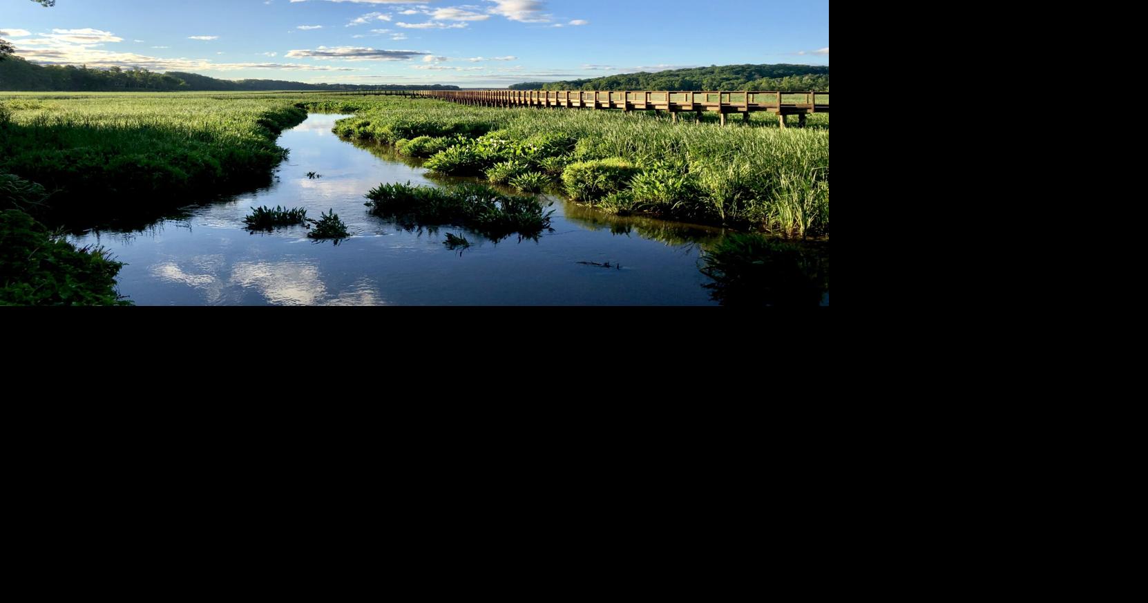 Family fun abounds in Fauquier | Lifestyles | fauquier.com