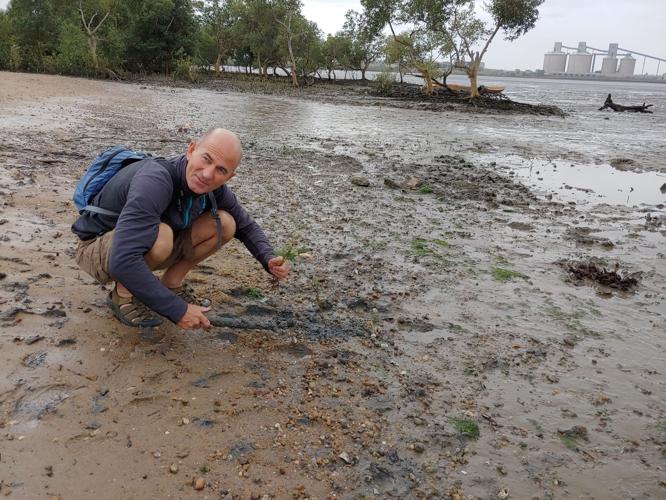David and Patricia Vos dedicated to planting a trillion trees | News ...