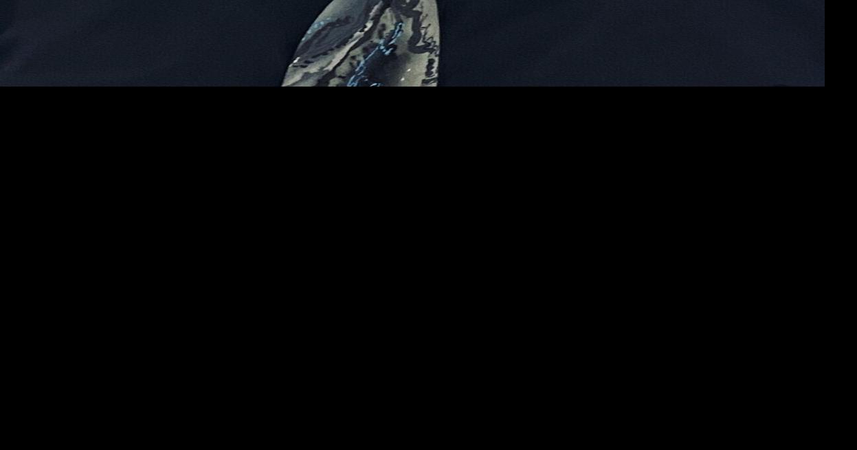 Jeremy Bland named new director of Boys & Girls Club | News | fauquier.com